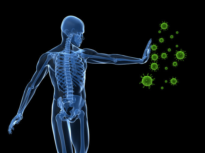 5 Anti-Mucus Tips to Increase Immunity, Including Diet | Dr. Kellyann