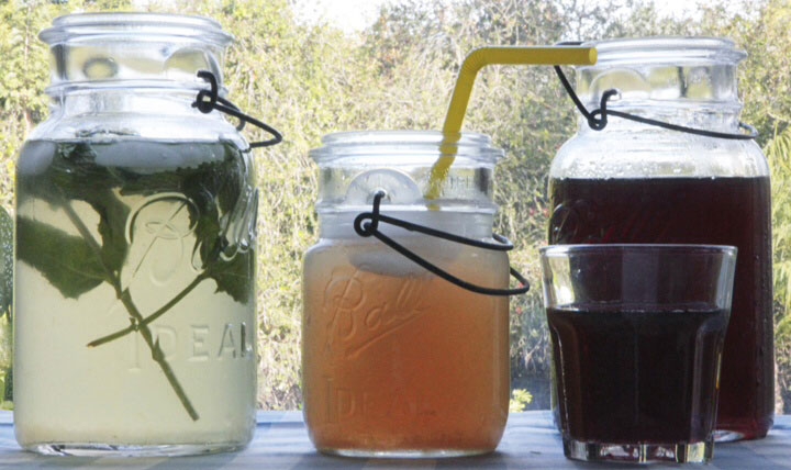 Natural Sports Drinks – Dr. Kellyann